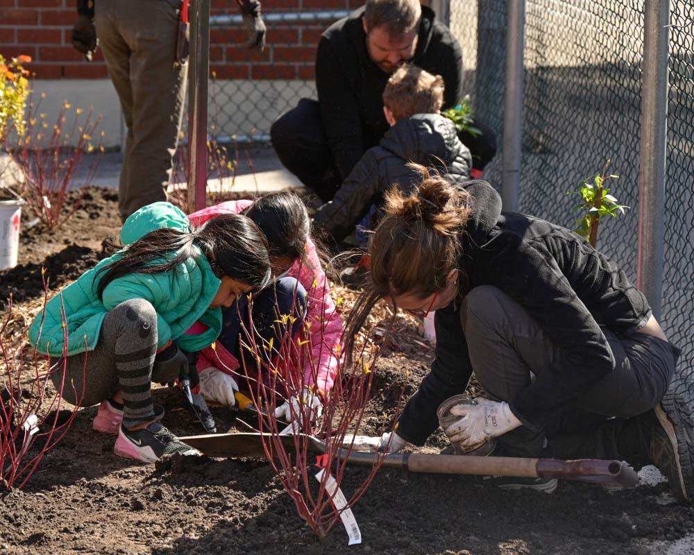 Hommage à la forêt urbaine de l'OMHM | Office municipal d'habitation de ...